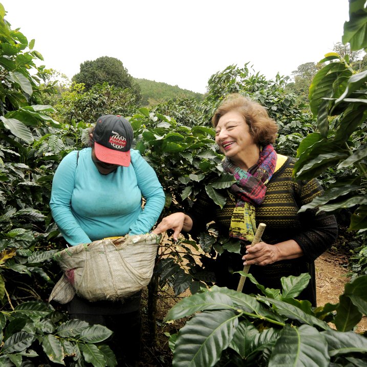 Welcoming Nicaraguan Coffee Back to Our Line Up – Andytown Coffee Roasters