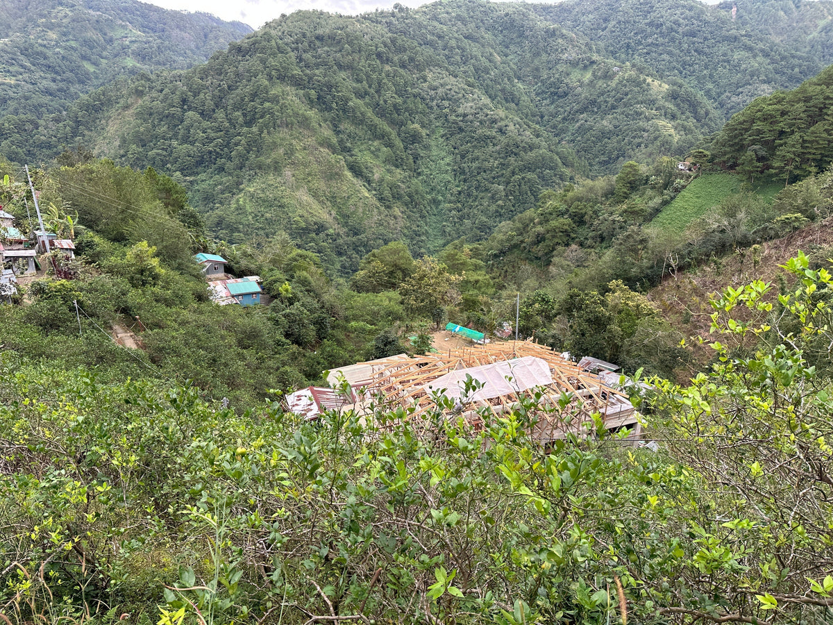 What's New with Sitio Belis in the Philippines? – Andytown Coffee Roasters